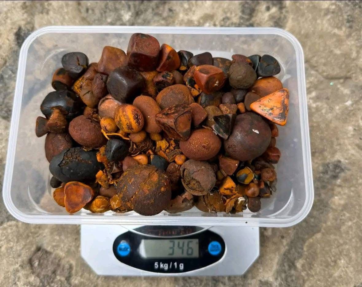 Buy Quality Gallstones from Gallstone world wide, Mexico | Tradewheel.com