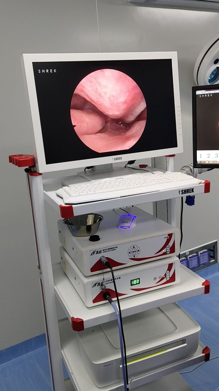 Buy Complete Endoscope System Endoscopy Camera Tower For Ent Doctors ...