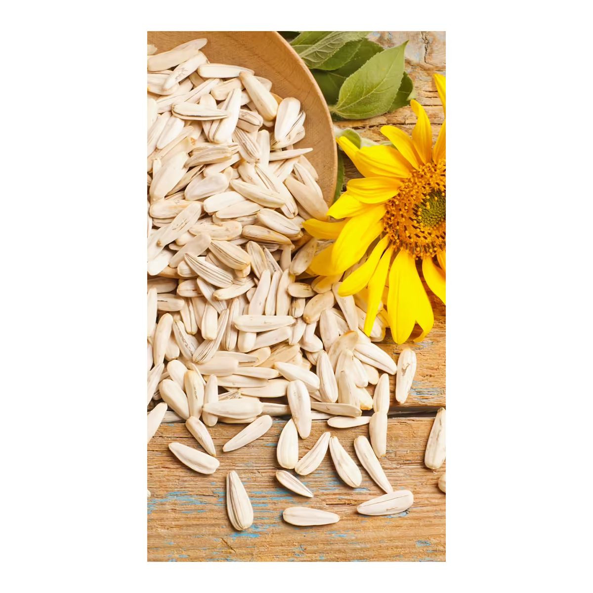 Buy Sunflower Seeds Bulk Supply from Afrivet Trading Services, South ...