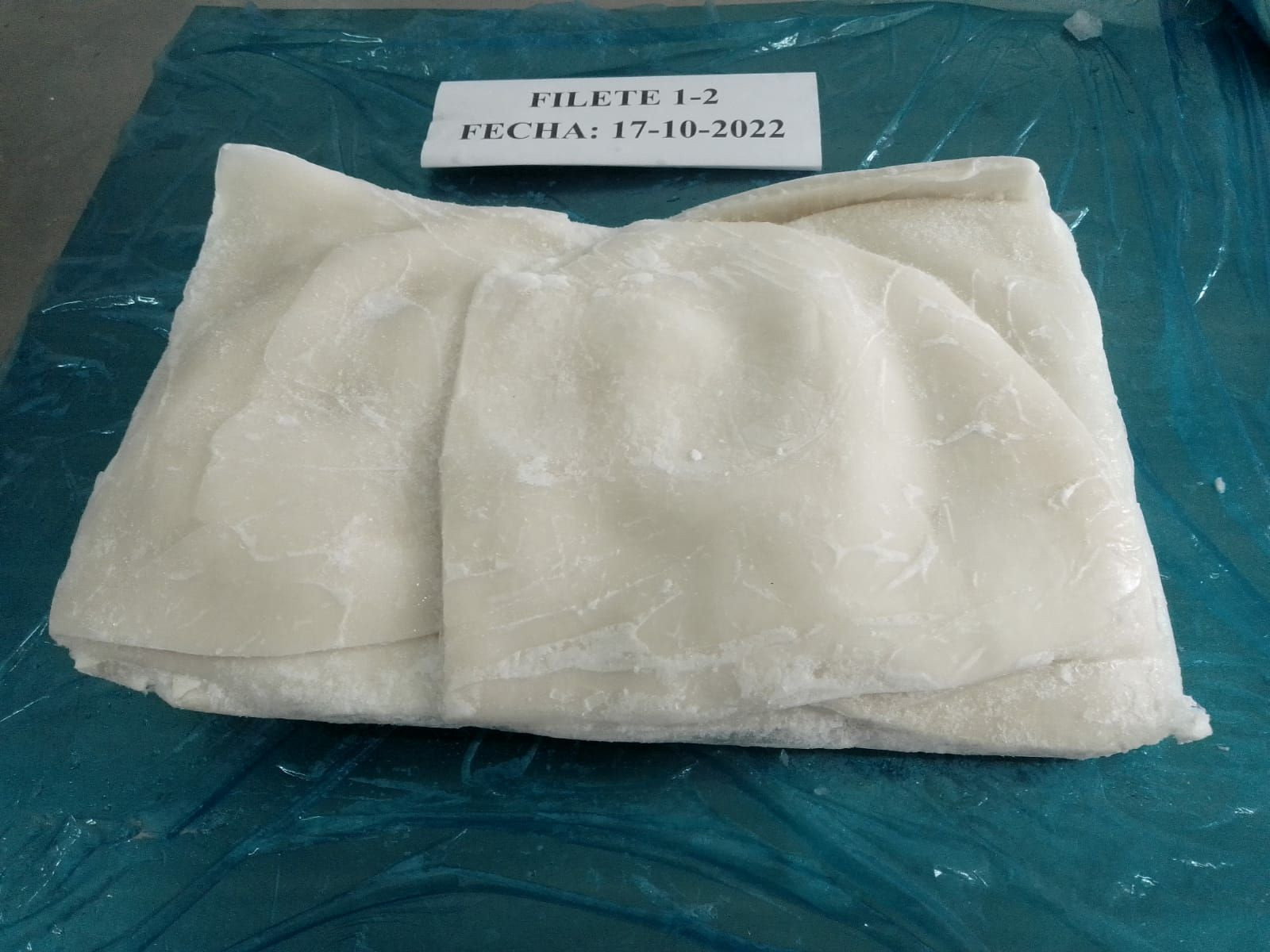 Buy Giant Squid Fillets from Larider S. A., Uruguay | Tradewheel.com