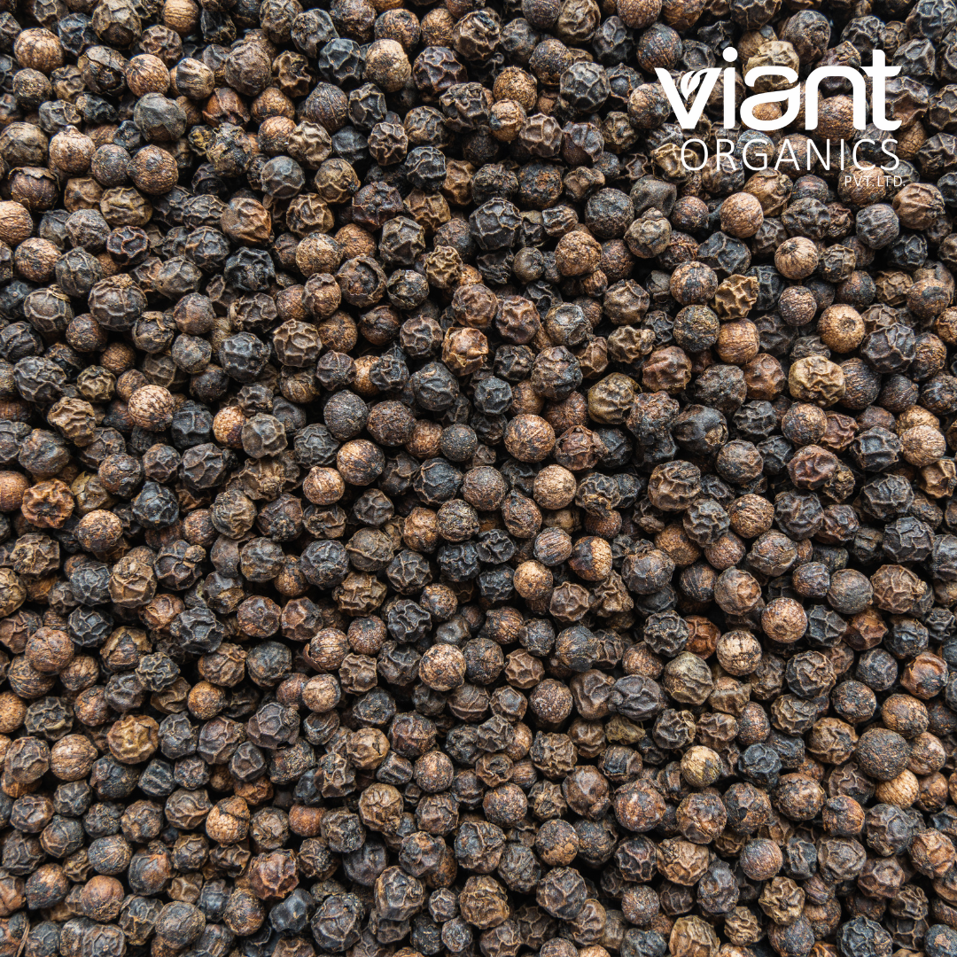 Buy Organic Black Peper Whole (pimienta Negra Entera Orgánica / فلفل ...