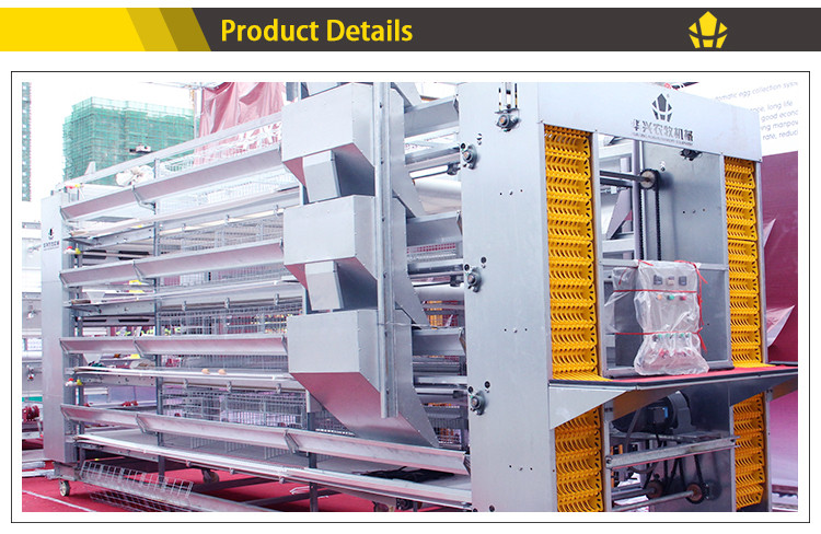 Buy Automatic Egg Collection System/a Type/h Type from Henan Huaxing ...