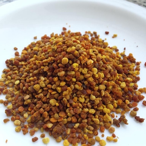 Buy Bee Pollen Powder from AB IM- UND EXPORT A. BERINGER, Germany ...