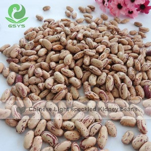 Buy Lskb/light Speckled Kidney Beans, Dried Beans In Bulk Packing from ...