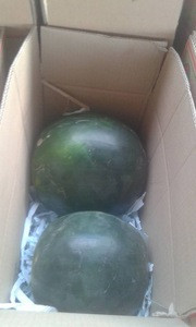 Buy Fresh Yellow Watermelons For Sale , Ready To Export From Egypt ...