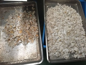 Buy Mini-sized Quartz Sand Ore Color Sorter Mineral Stones Sorting ...