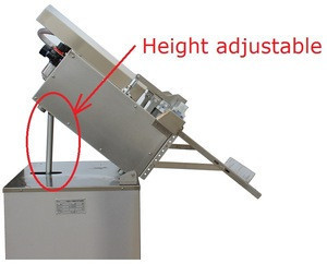 Buy Ruibao Nitrogen Vacuum Sealing Machine For Food, Gas Flush External ...