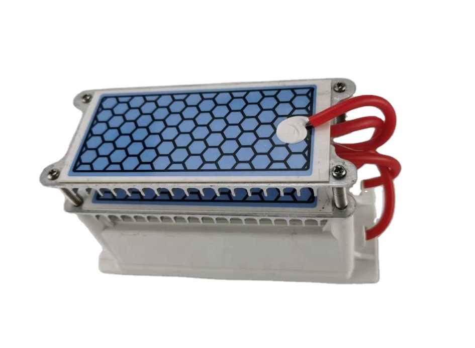 Buy Updated 10g Ceramic Plate In Ozone Generator Ozone Air Purifier ...