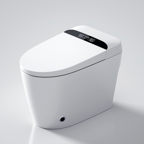 Buy Usa 110v S Trap P Trap One Piece Bathroom Electronic Bidet ...