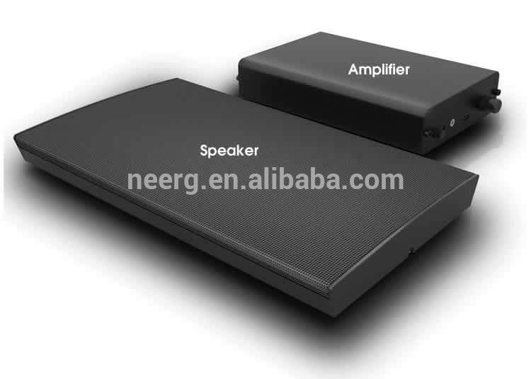 Buy Wall Mounted Audio Spotlight Directional Panel Speaker System from ...