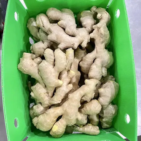 Buy Whole Fresh Ginger Iqf Organic Frozen Foods No Addition Cubes ...