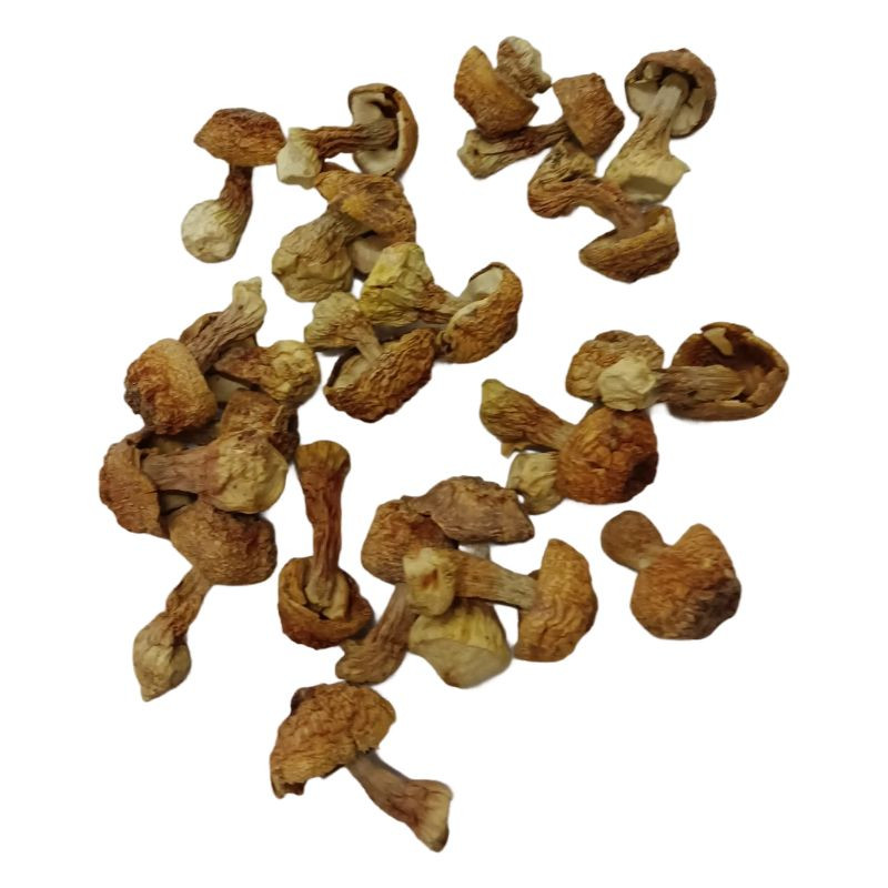 Buy Hong Kong Qitai Edible Fungi - Bottled Agaricus Blazei (80g) from ...