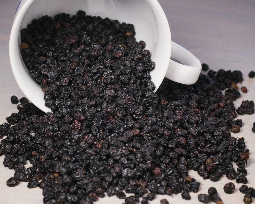 Buy Elderberry Dried from Zhivana Organics LLC, Ukraine | Tradewheel.com