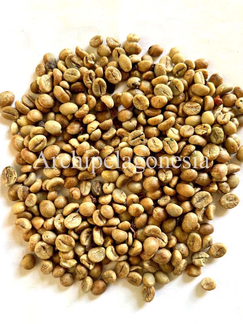 Buy Robusta Coffee Beans from Archipelagonesia, Indonesia | Tradewheel.com