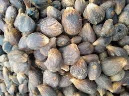 Buy Palm Kernel Seed from Annybest Multi-link Grooming Enterprise ...