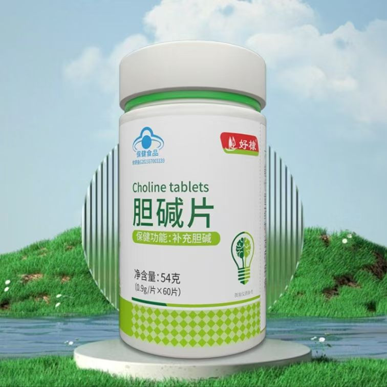 Buy Choline Tablet from Haodi Shandong Biotechnology Company, China ...