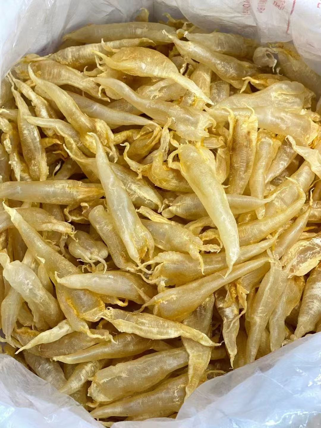 Buy Fish Maw 鱼胶 from Howard Lim Fish Maw Trader, USA | Tradewheel.com