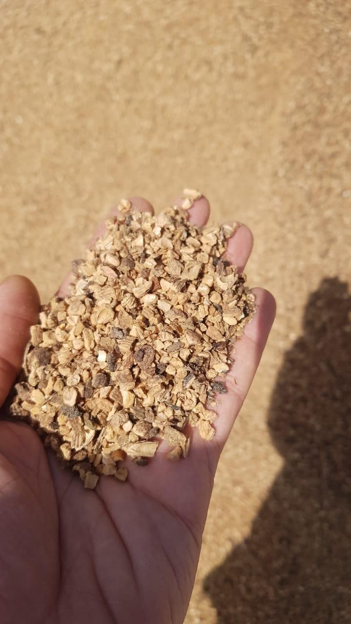 Buy Biomass Olive Pits / Olive Kernels from 2Brother Company For ...