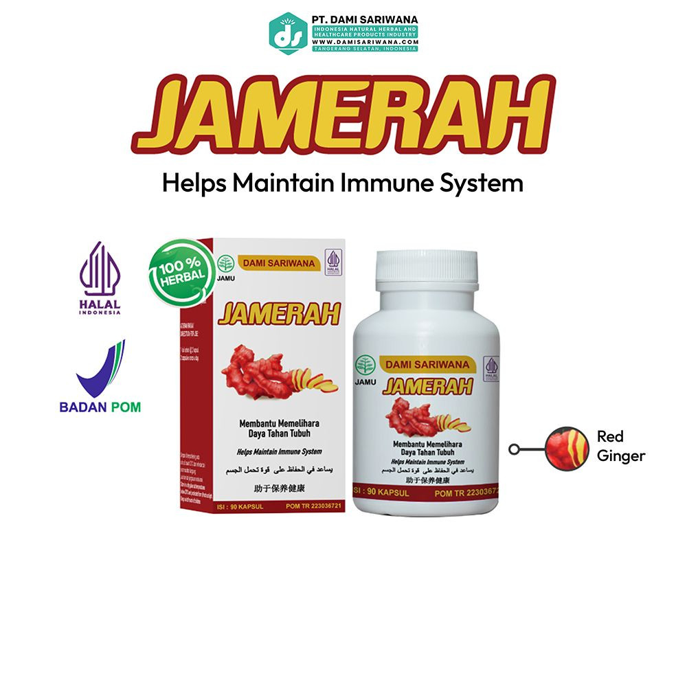 Buy Red Ginger For Immune System Jamerah 90 Capsules from PT DAMI SARIWANA, Indonesia ...