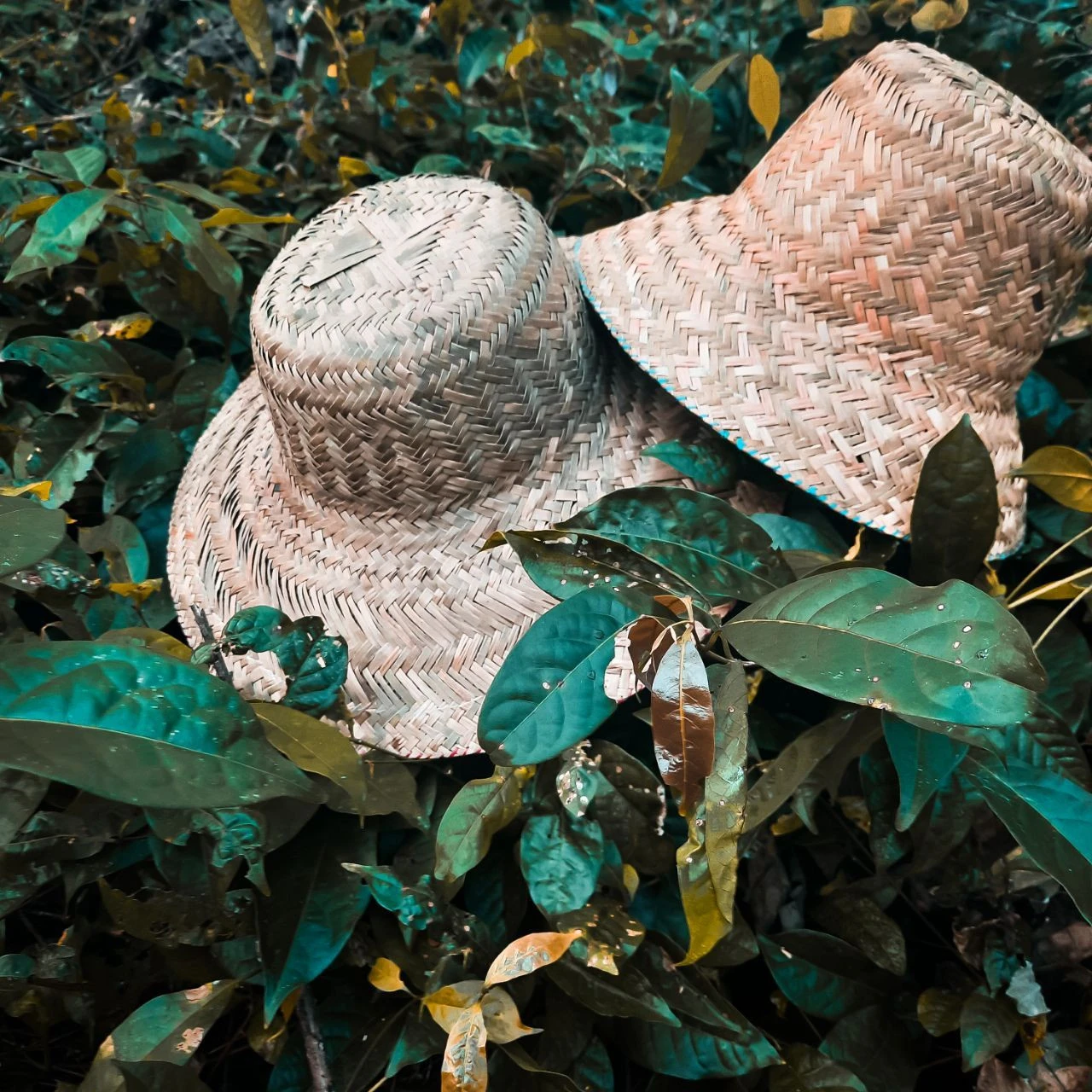 Buy Woven Hat from AHMAD HANDYCRAFT, Indonesia | Tradewheel.com