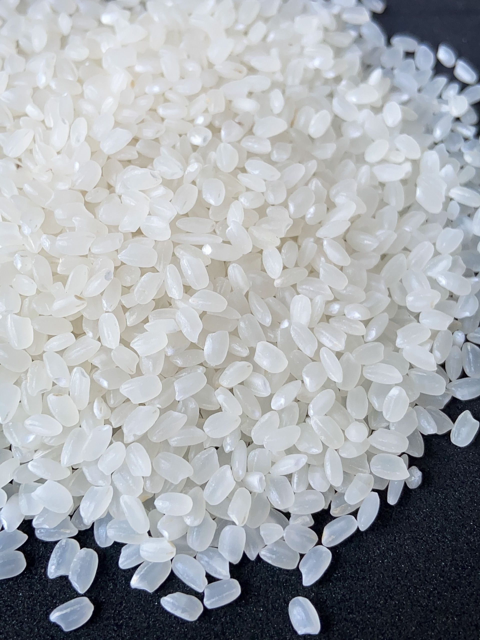 Buy Premium Quality Japonica Rice 5% Broken Vietnamese Rice Origin ...