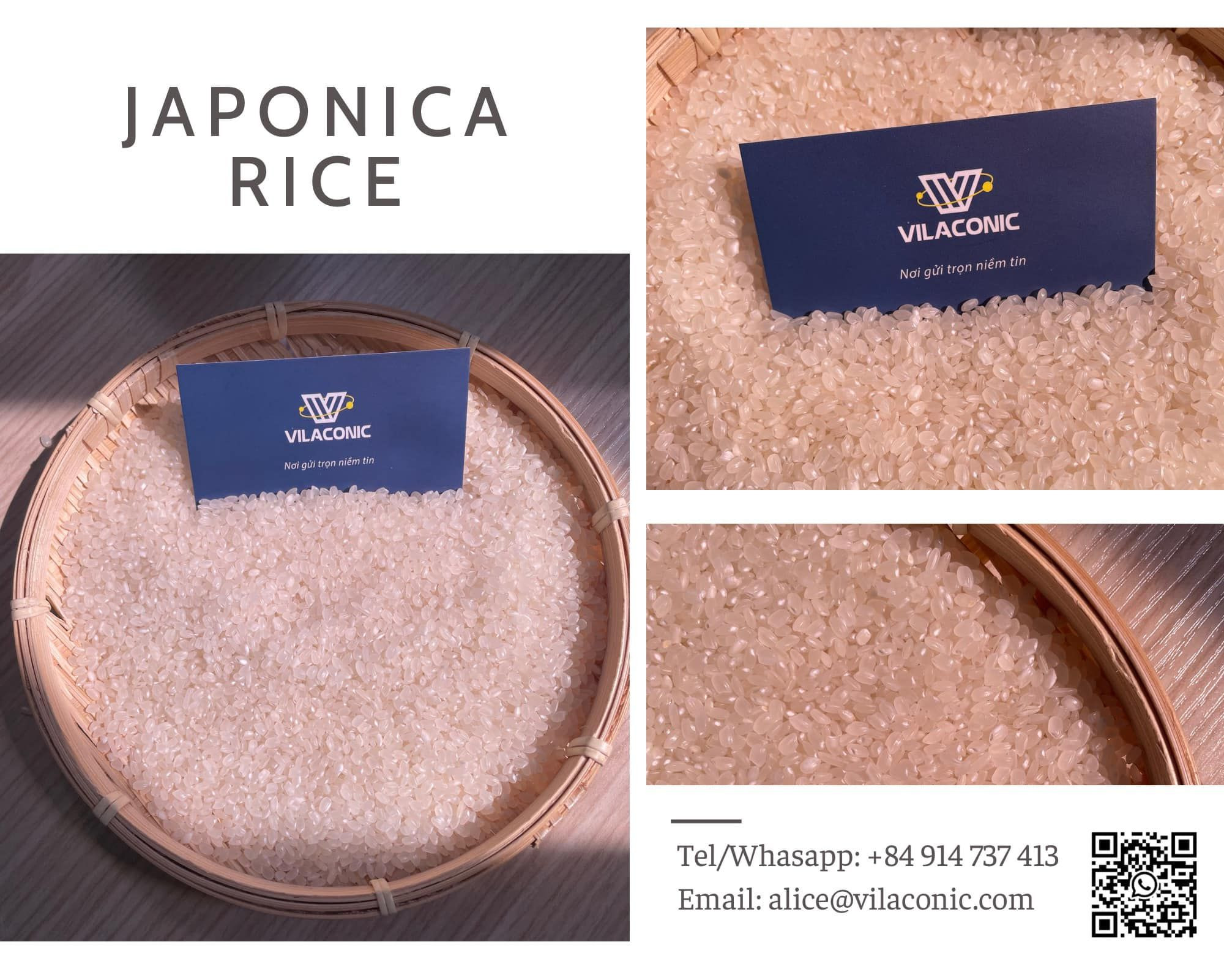 Buy Premium Quality Japonica Rice 5% Broken Vietnamese Rice Origin ...