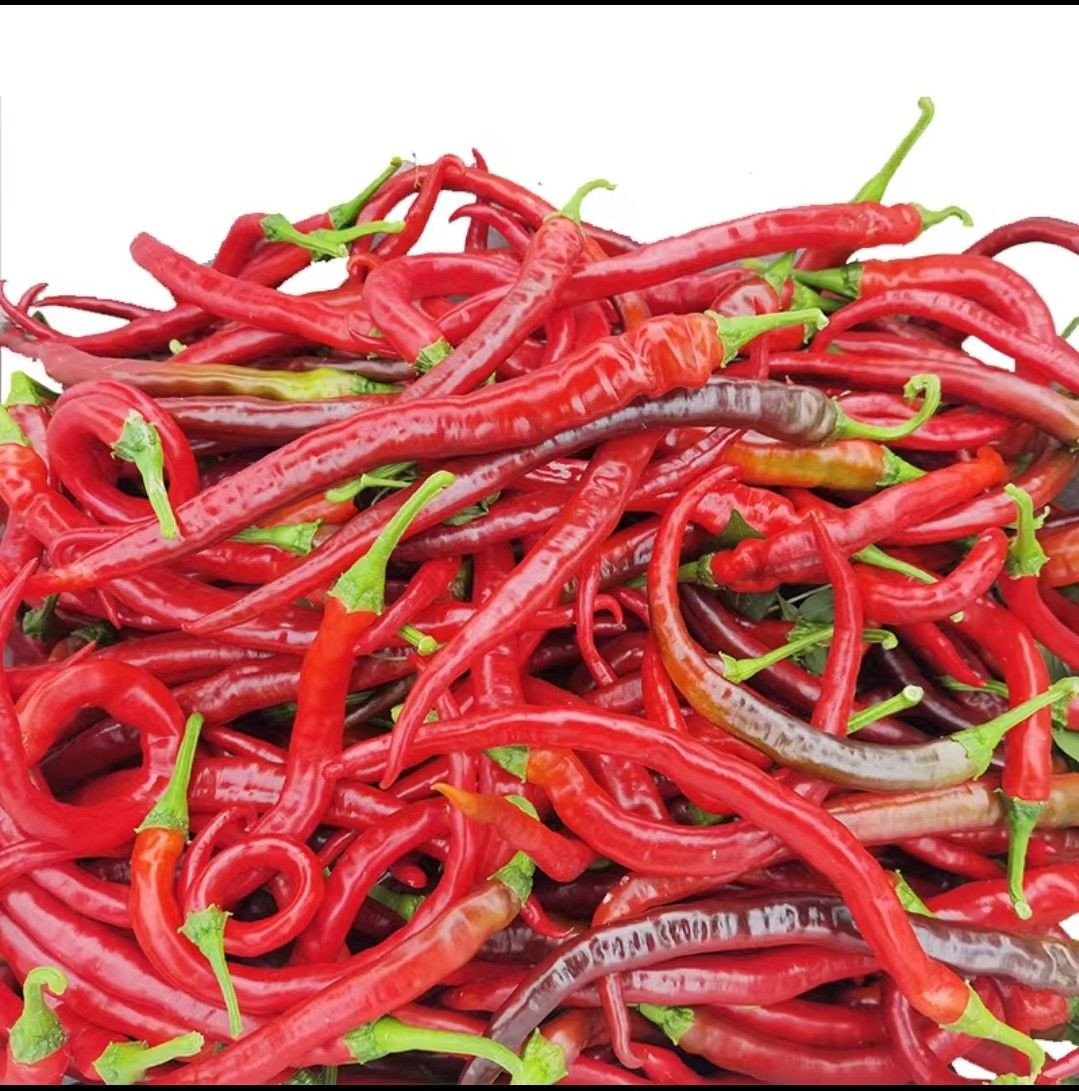 Buy Red Peppper from Integrated Fruit and Vegetable Free Trade Co., Ltd ...