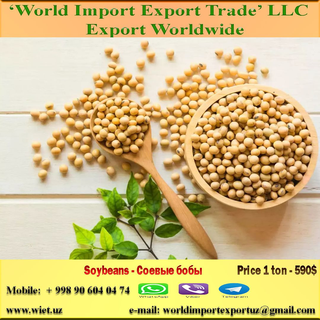 Buy Soybeans from world import export trade, Uzbekistan | Tradewheel.com