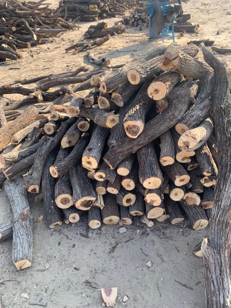 Buy Namibian Sekelbos Firewood from NOCABCCT, Namibia | Tradewheel.com