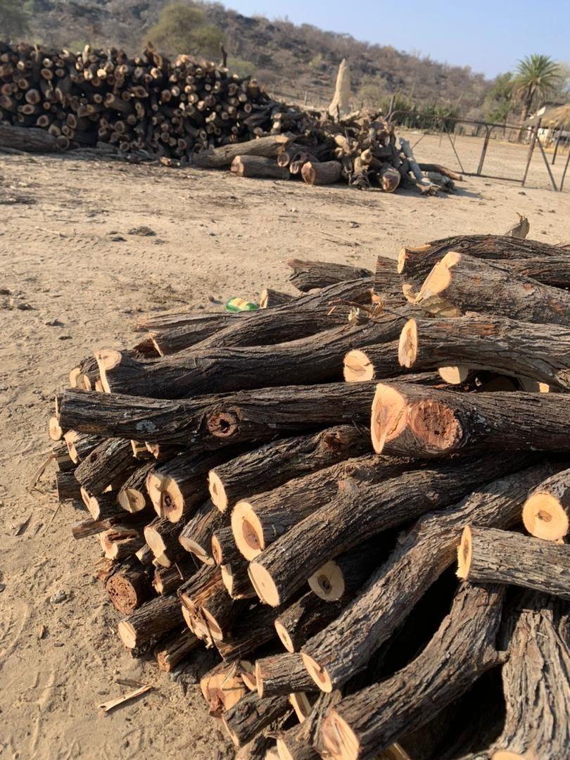Buy Namibian Sekelbos Firewood from NOCABCCT, Namibia | Tradewheel.com