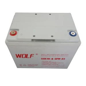 Buy 6-gfm-85 Maintenance Free Deep Cycle 12v 85ah Battery For Electric ...