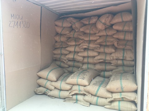 Buy Coffee Bean Grade 1 - Robusta from DH-FOOD VIET NAM COMPANY LIMITED ...