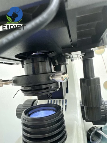 Buy Eur Vet Latest Technology Biological Microscope Veterinary ...