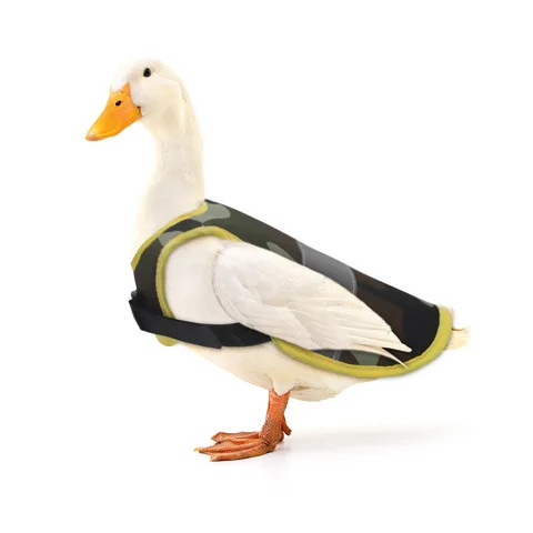 Buy New Pet Chicken Duck Goose Chest Back Pet Clothes Reflective Safety ...