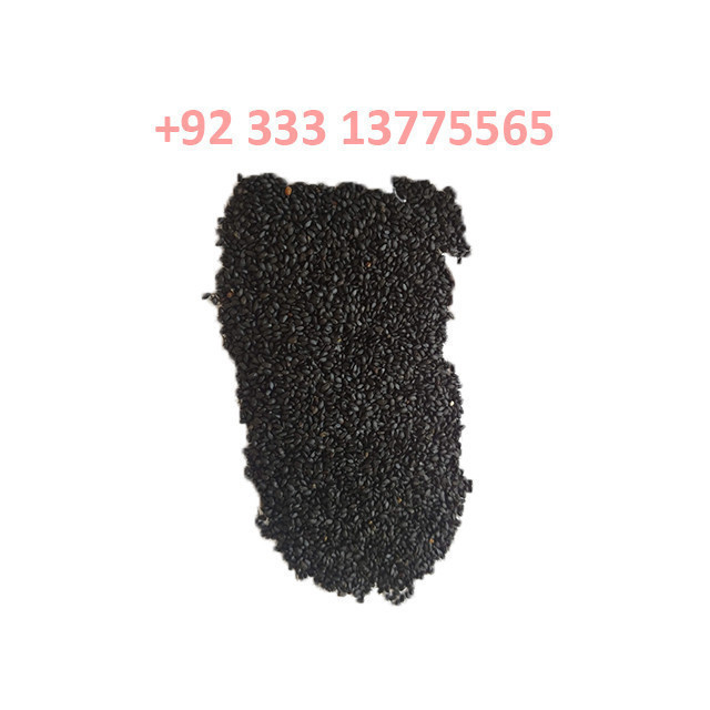 Buy Pakistani Basil Seeds, Ocimum Basilicum, Sabja Seeds from HNH ...