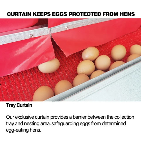 Buy Poultry Helper Automatic Reversible Chicken Poultry Nesting Box For ...