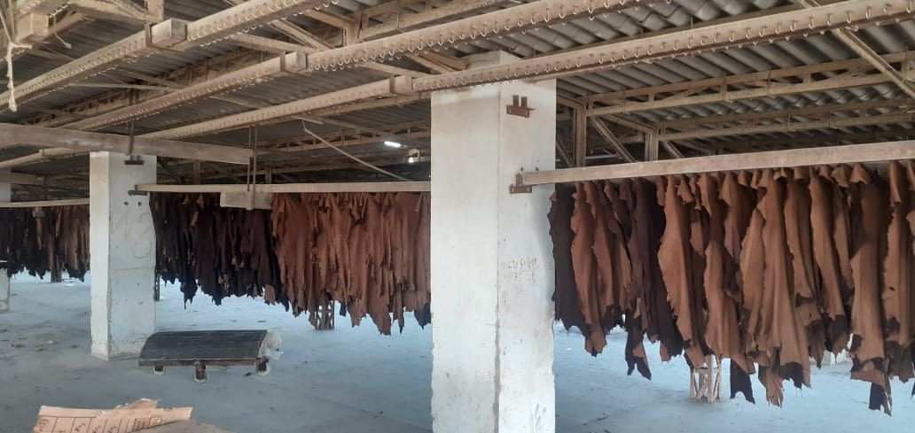 Buy Goat Crust & Finished Leather from Saad Traders, Pakistan ...