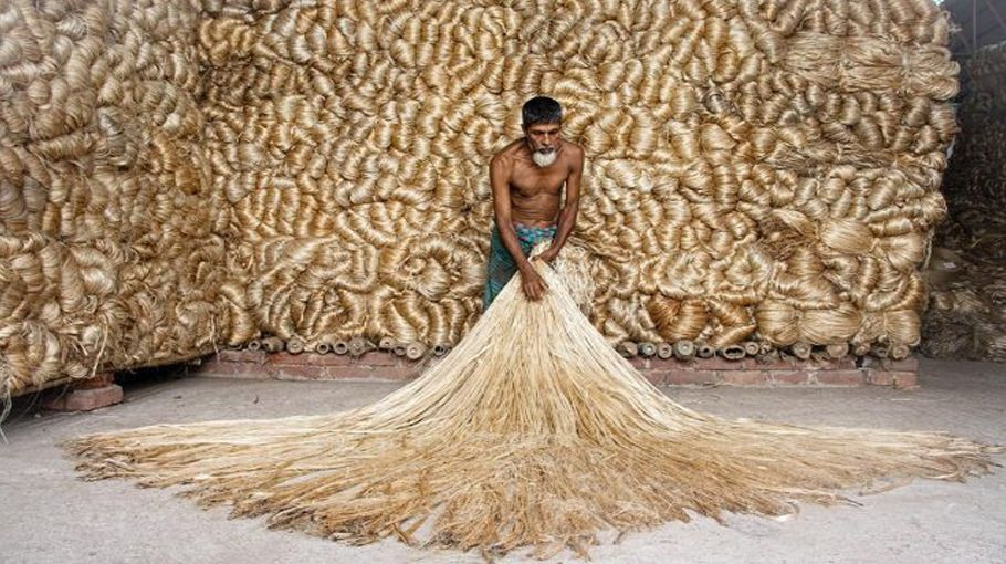 Buy Raw Jute from M/S Niaz Enterprise, Bangladesh | Tradewheel.com