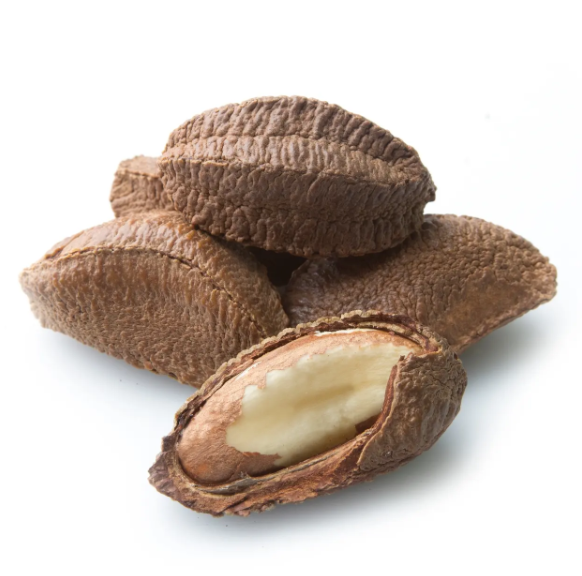 Buy Brazil Nut Inshell - Large Size Brazil Nuts Inshell Size 57-65 Nuts ...