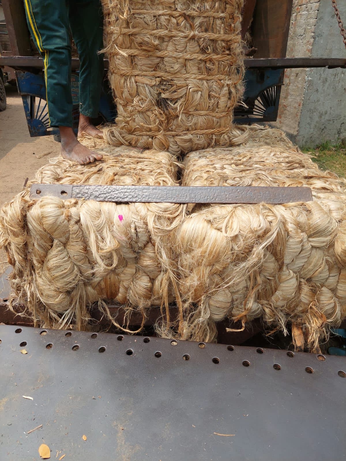 Buy Raw Jute from M/S Niaz Enterprise, Bangladesh | Tradewheel.com