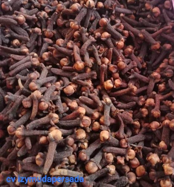 Buy Clove from CV. Izy Muda Persada, Indonesia | Tradewheel.com