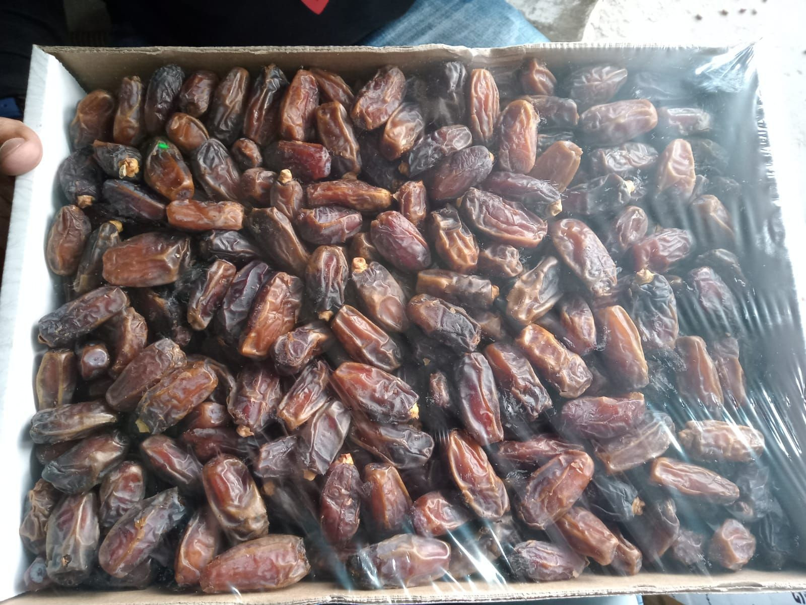 Buy Fresh Dates from BIG international General Trading LLC, United Arab ...