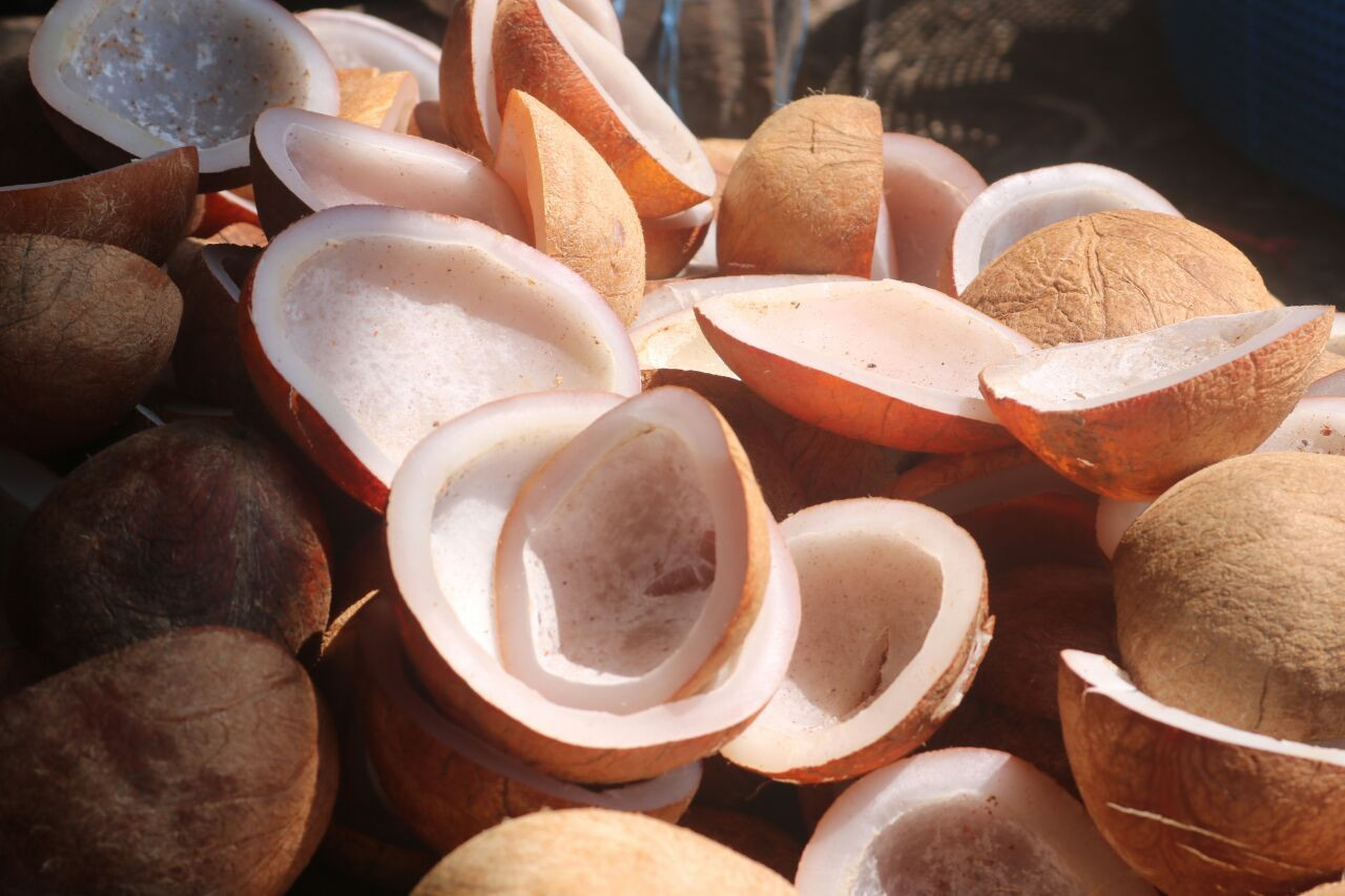 Buy Dry Copra Edible from PT Harfi Utama Barrindo, Indonesia ...