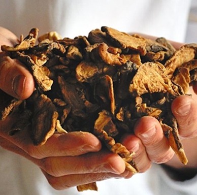 Buy Roasted Chicory Cubes from Vashila Industries, USA | Tradewheel.com