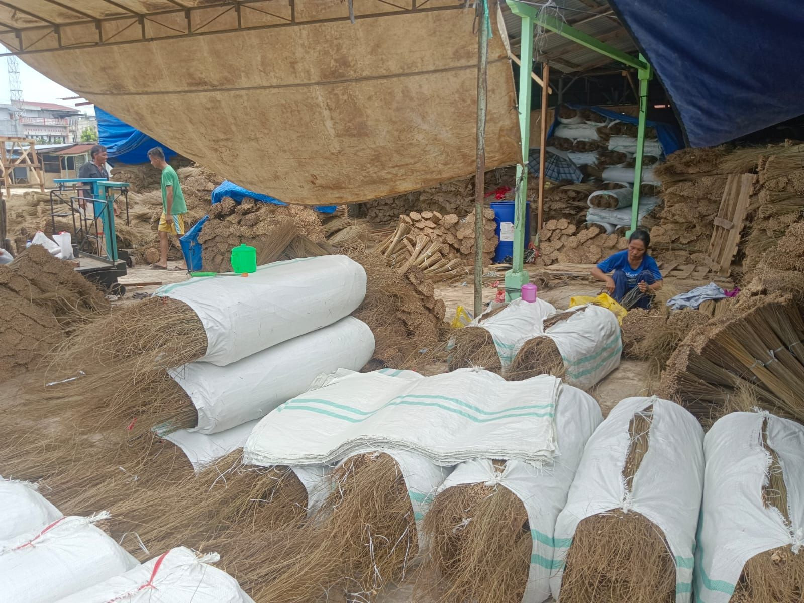 Buy Supplier Broom Stick Palm Or Nypah from PT Andalan Mitra Exporindo ...