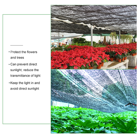 Buy Chinese Factory Sale Outdoor Mono Sun Shade Net Shade Sails Garden ...