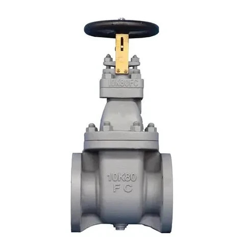 Buy Custom Cast Iron Jis Marine Cast Iron Gate Valve F7363 5k 65a Cast ...