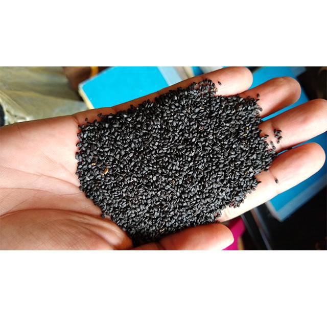 Buy Pakistani Basil Seeds, Ocimum Basilicum, Sabja Seeds from HNH ...