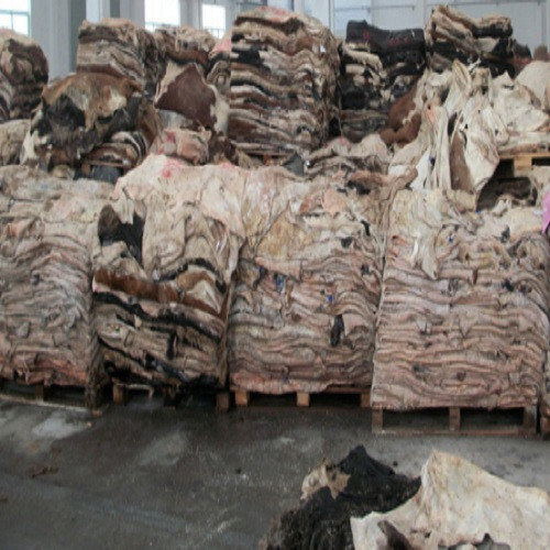 Buy Raw Cow Hides Skin/wet Salted Cow Hides /cow Head Skin from SAFEWAY ...