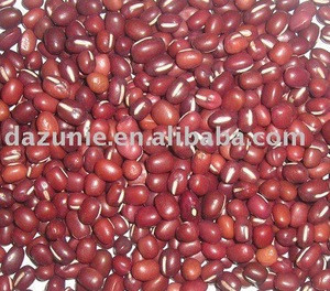 Buy Small Red Beans from Qingdao Dazun Industry Co., Ltd., China ...